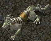 Dragon Barding Deed - UOGuide, the Ultima Online Encyclopedia
