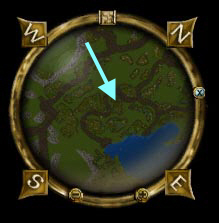 Damwin Thicket - UOGuide, the Ultima Online Encyclopedia