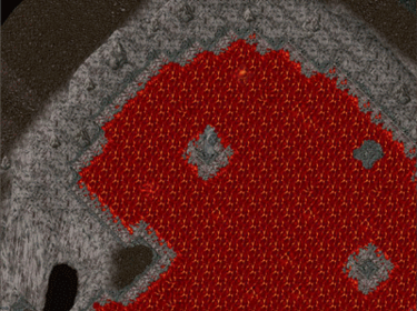 Ancient Lair - UOGuide, the Ultima Online Encyclopedia